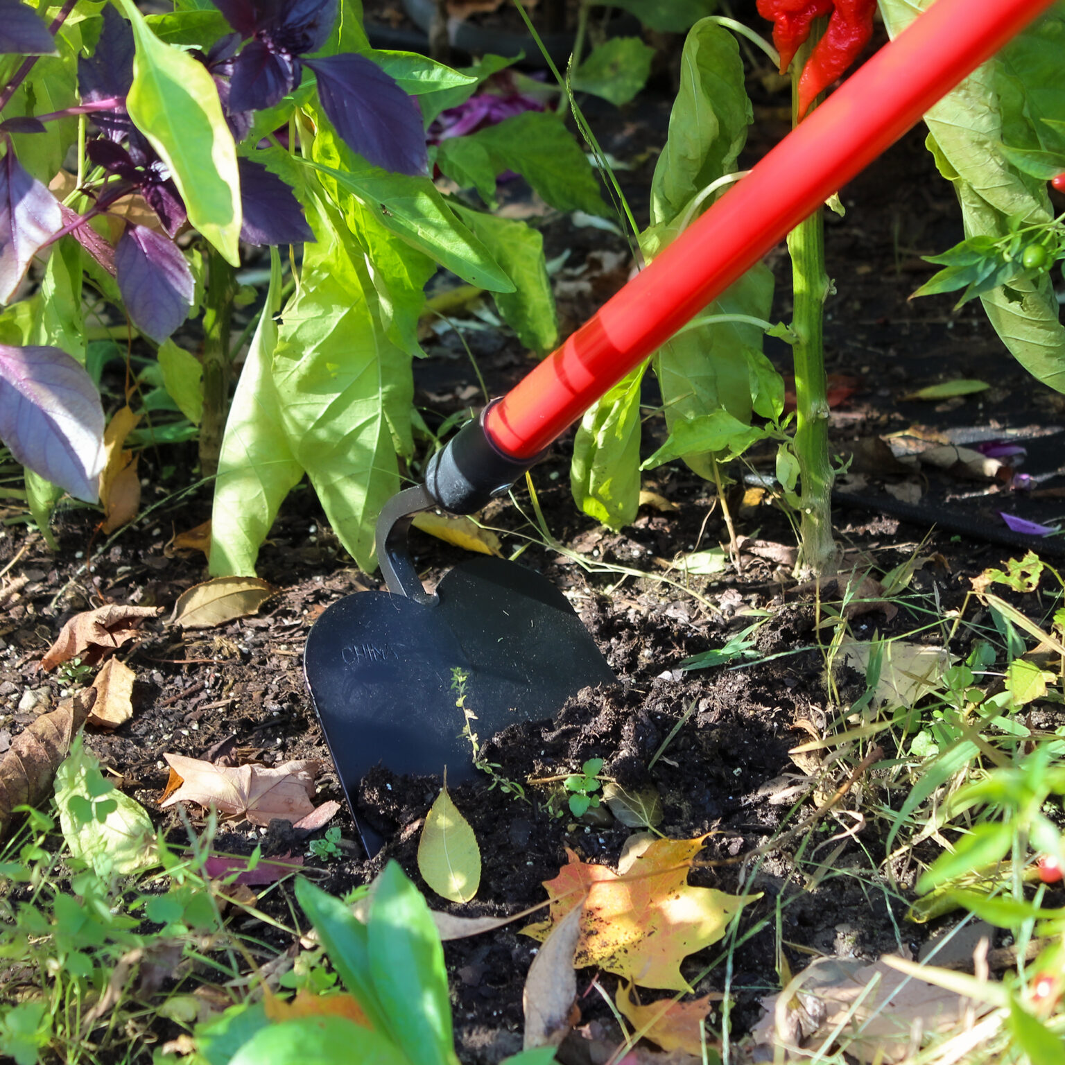 Fiberglass Garden Hoe – Emsco Group
