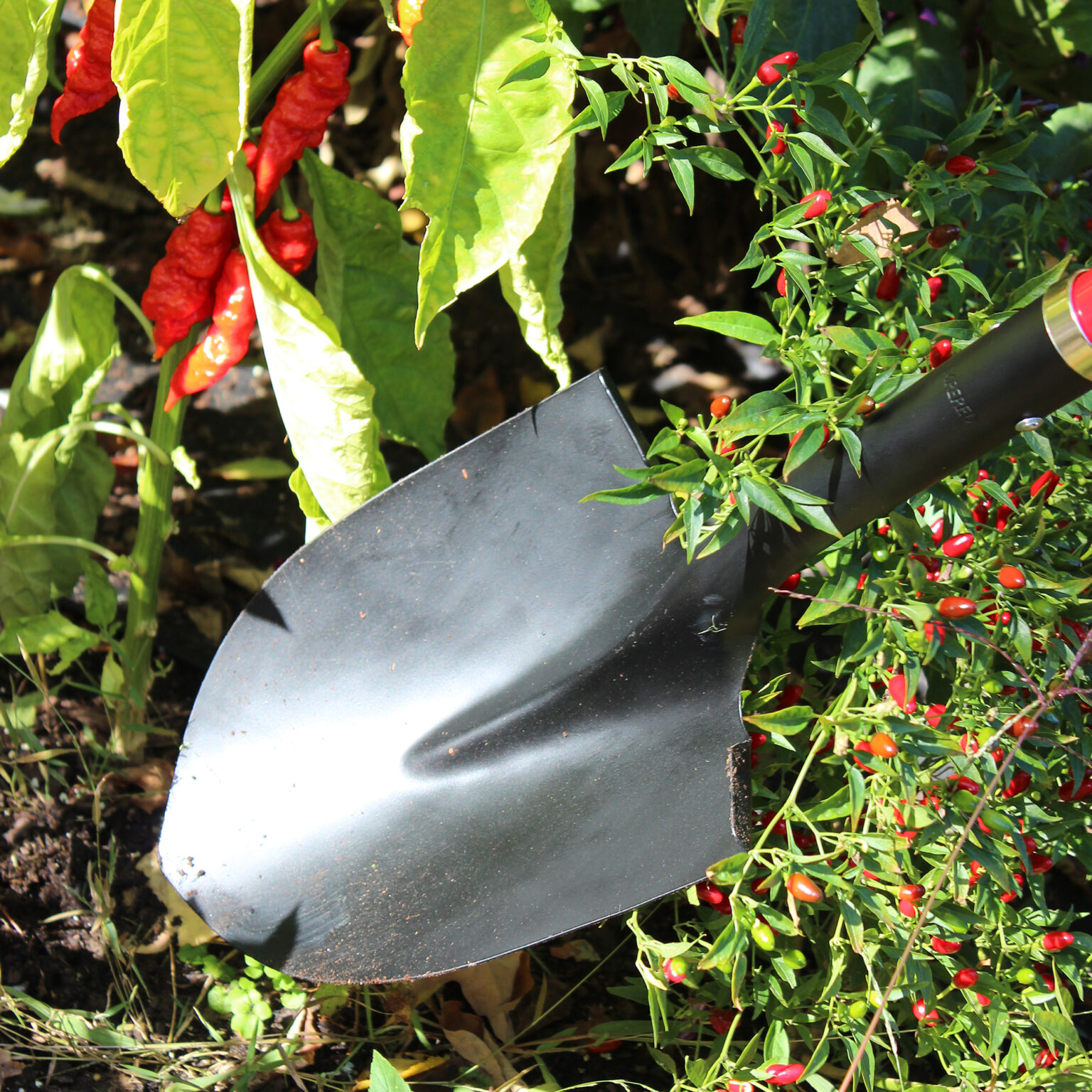 Fiberglass Round Point Shovel – Emsco Group