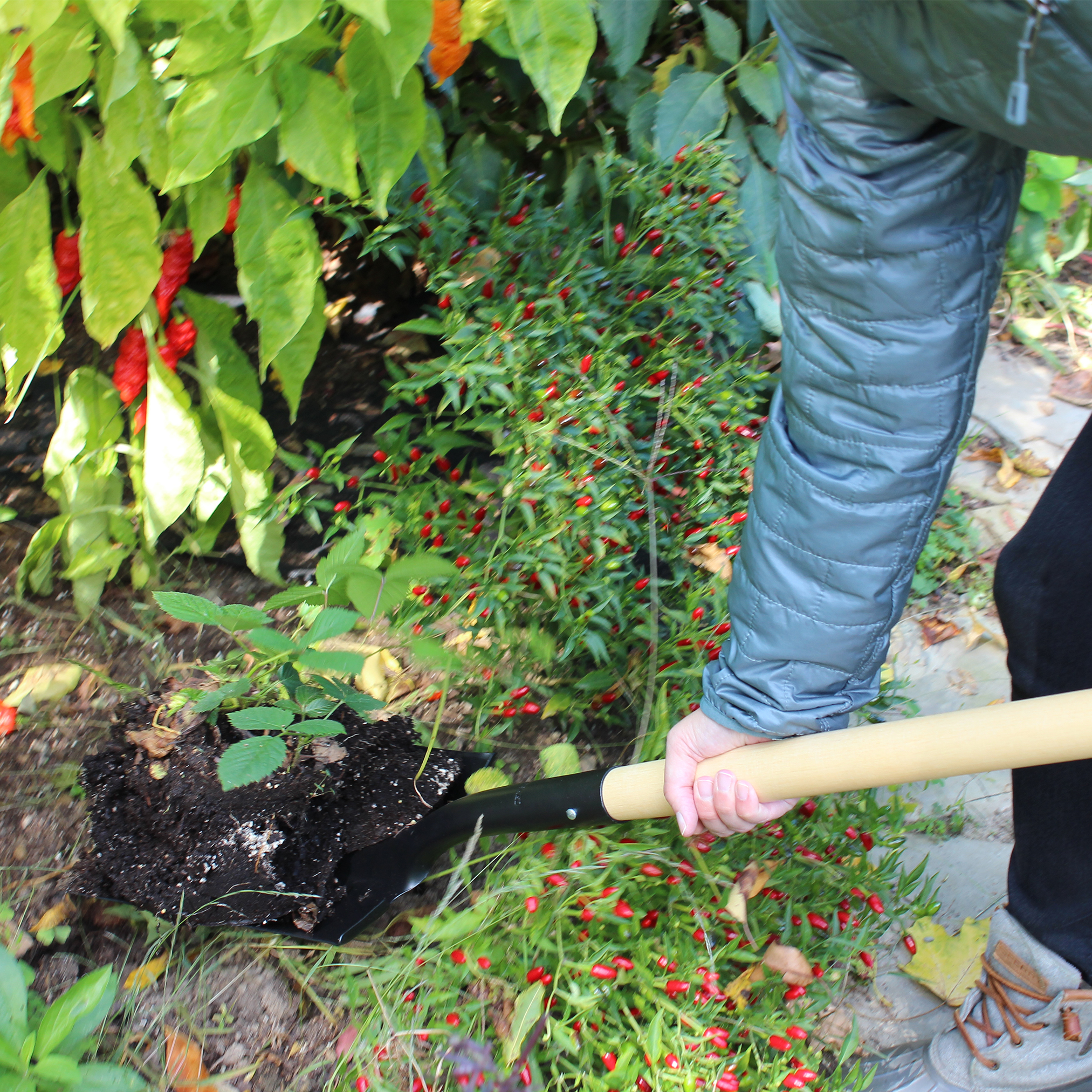 Square Point Shovel – Emsco Group