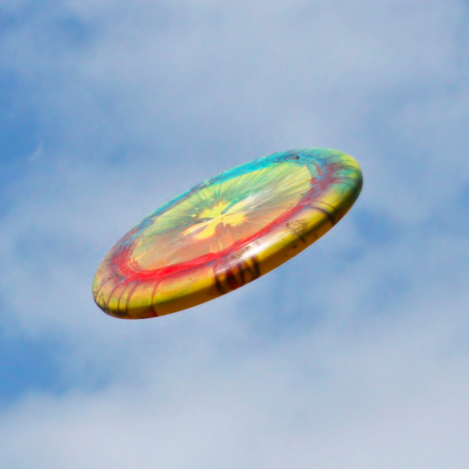 14.5 in Super Sized Flying Discs – Emsco Group