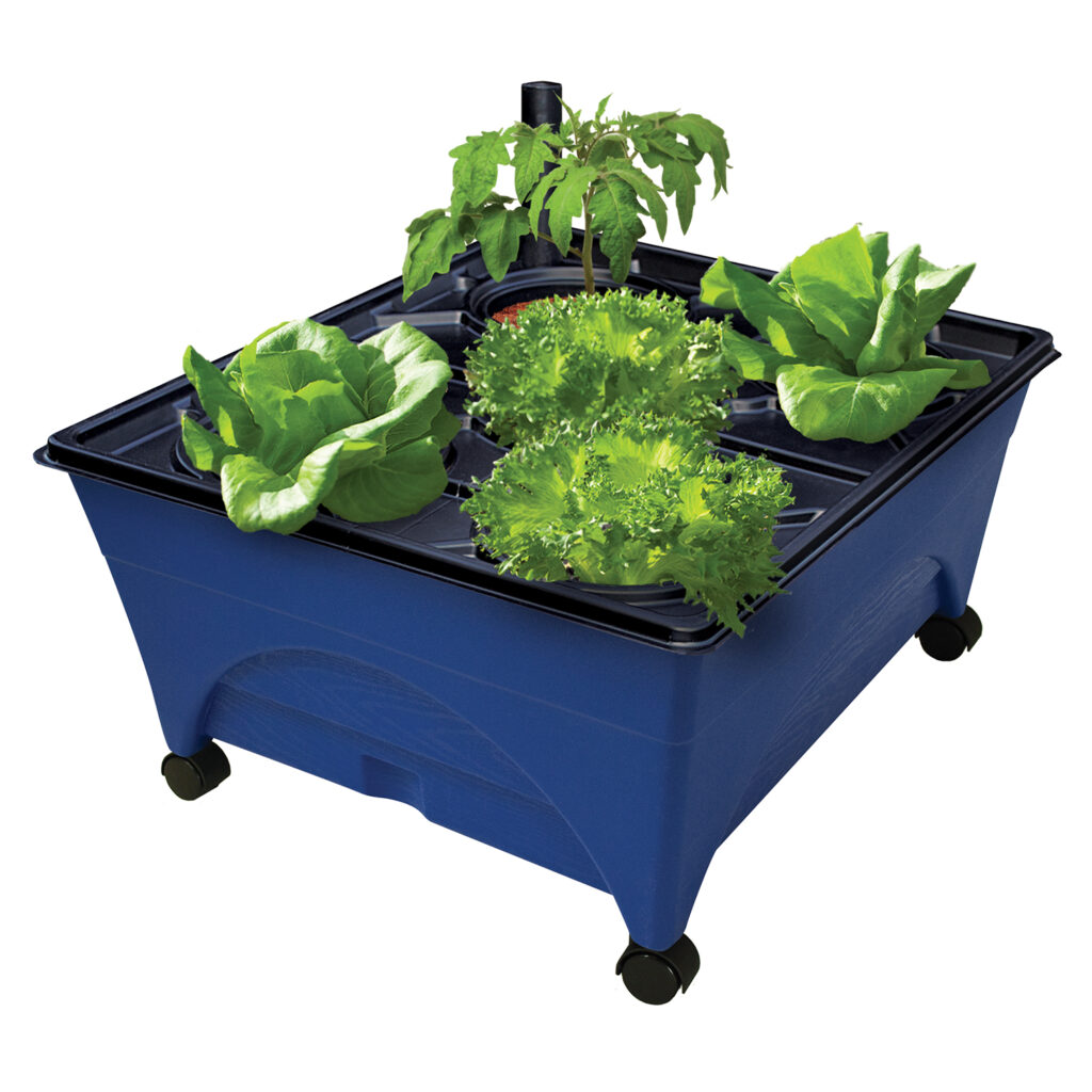 Hydroponic Garden Kit – Emsco Group